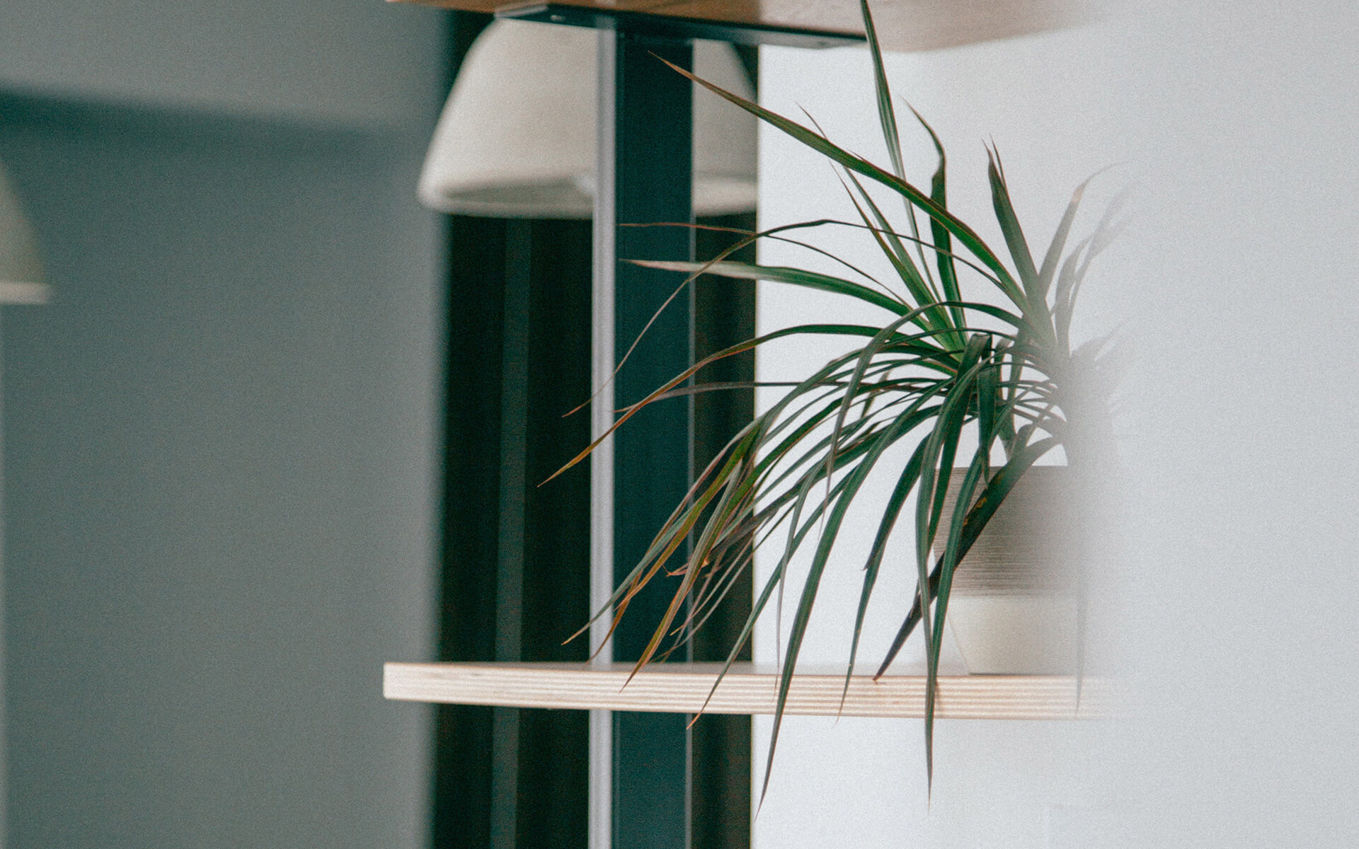 Agence immobilière Trelissac | Logissimo